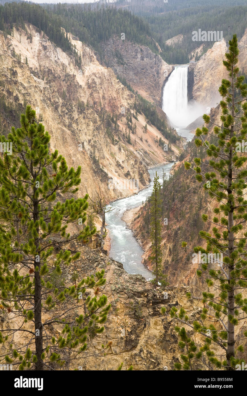 View of Yellowstone Falls Upper falls at Yellowstone National Park ...