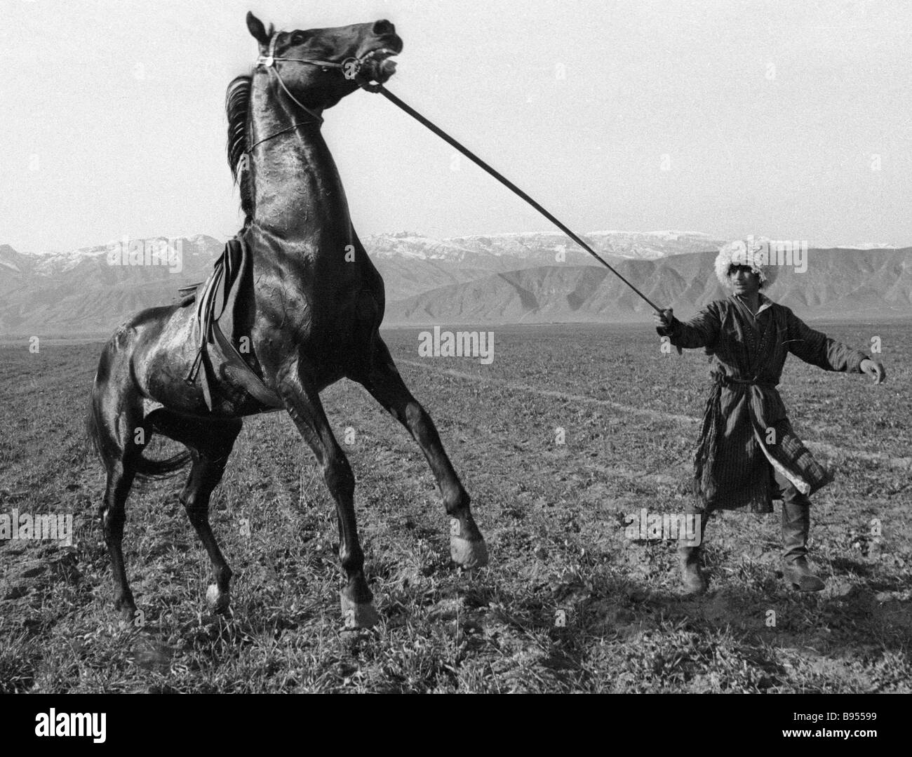 Turkmen demonstrating an Akhal Teke famous Turkmenian horse breed Stock ...