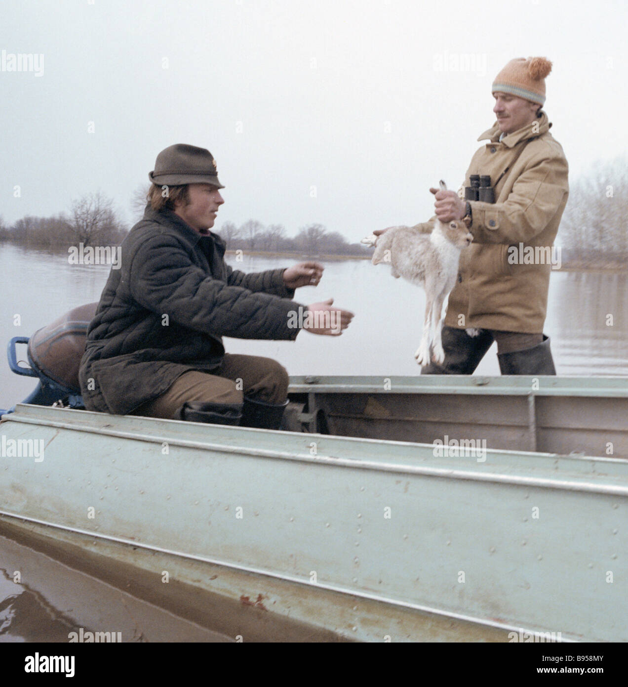 Men rescue hares during high waters Stock Photo - Alamy