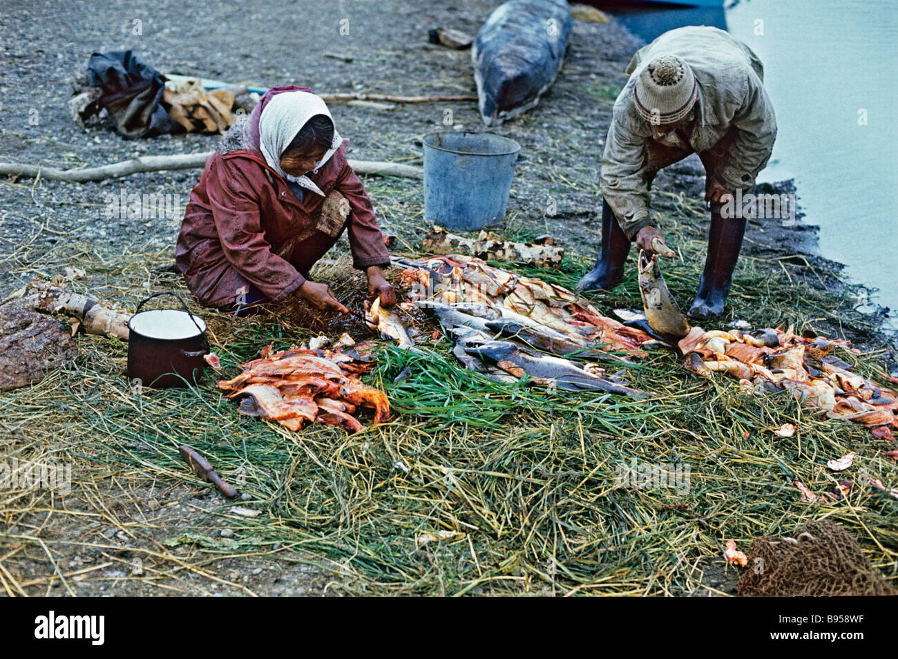 A fisherman and his wife sorting fish Stock Photo - Alamy