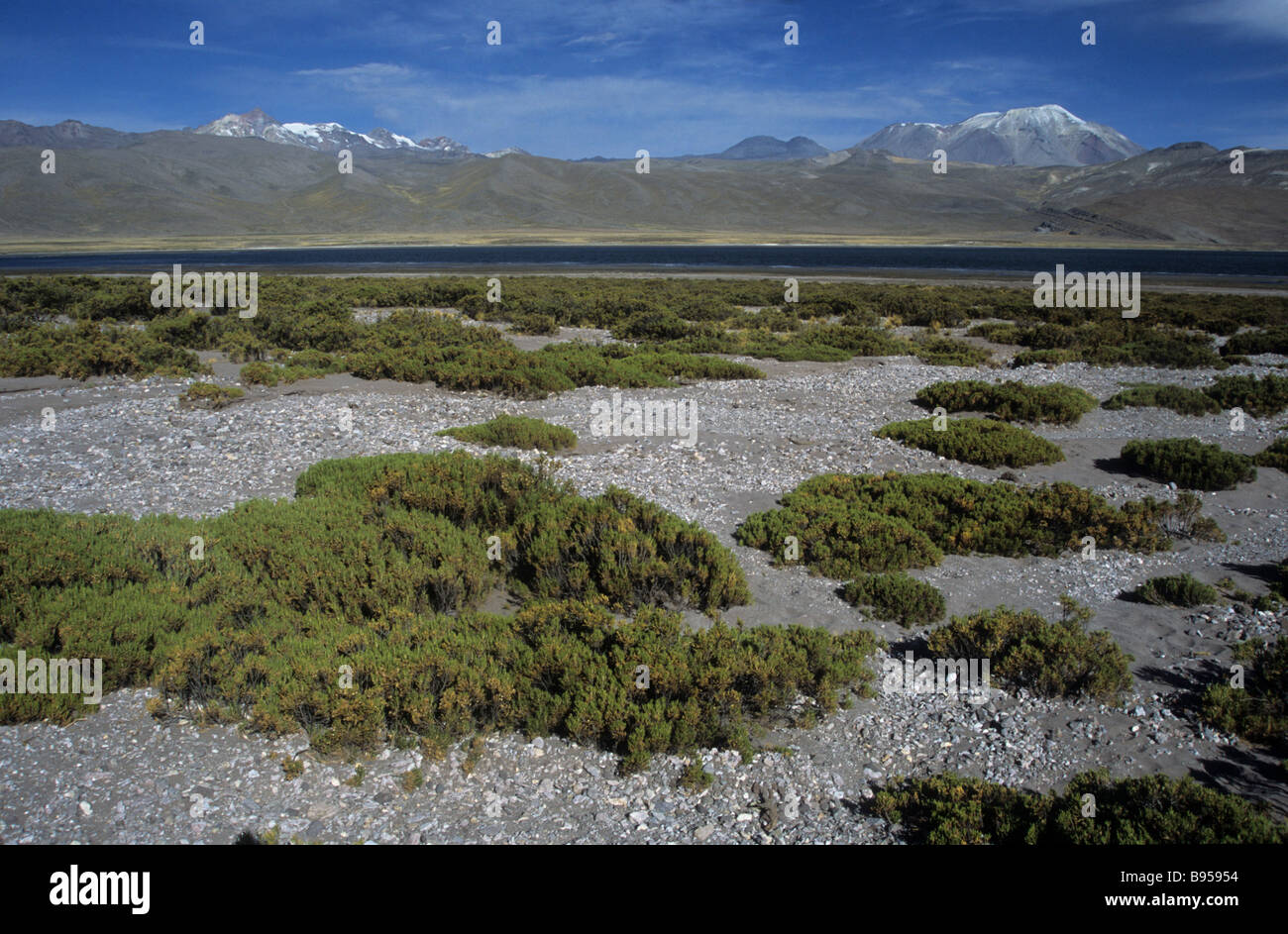 Volcan hualca hualca hi-res stock photography and images - Alamy