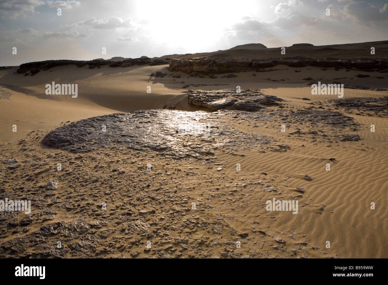 Sun reflecting on polished limestone breaking through sand rippled ...
