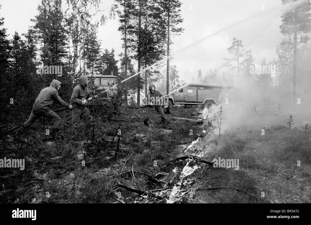 Ground forest protection team fights a forest fire Stock Photo - Alamy