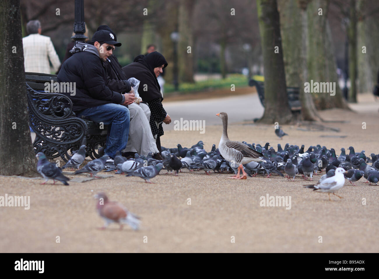 People sitting on a bench feeding pigeons and geese at Kensington ...