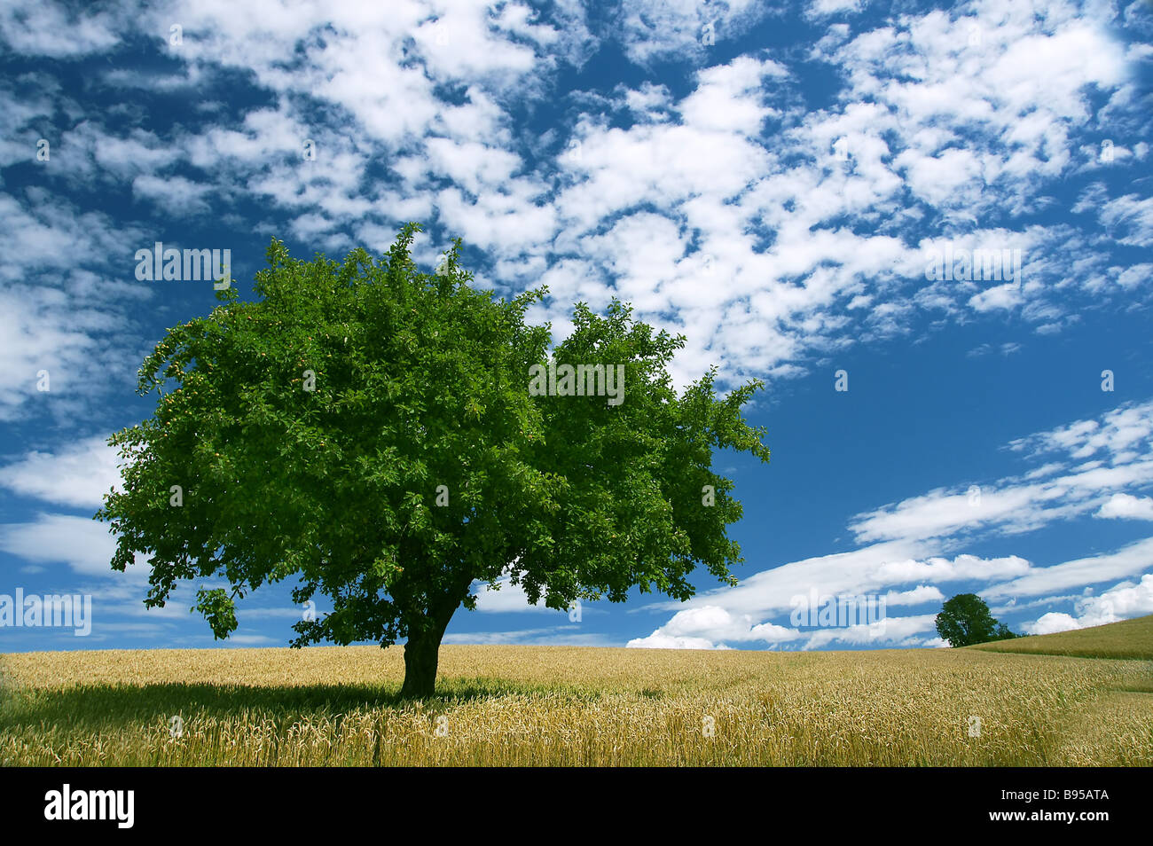 Lowland regions hi-res stock photography and images - Alamy
