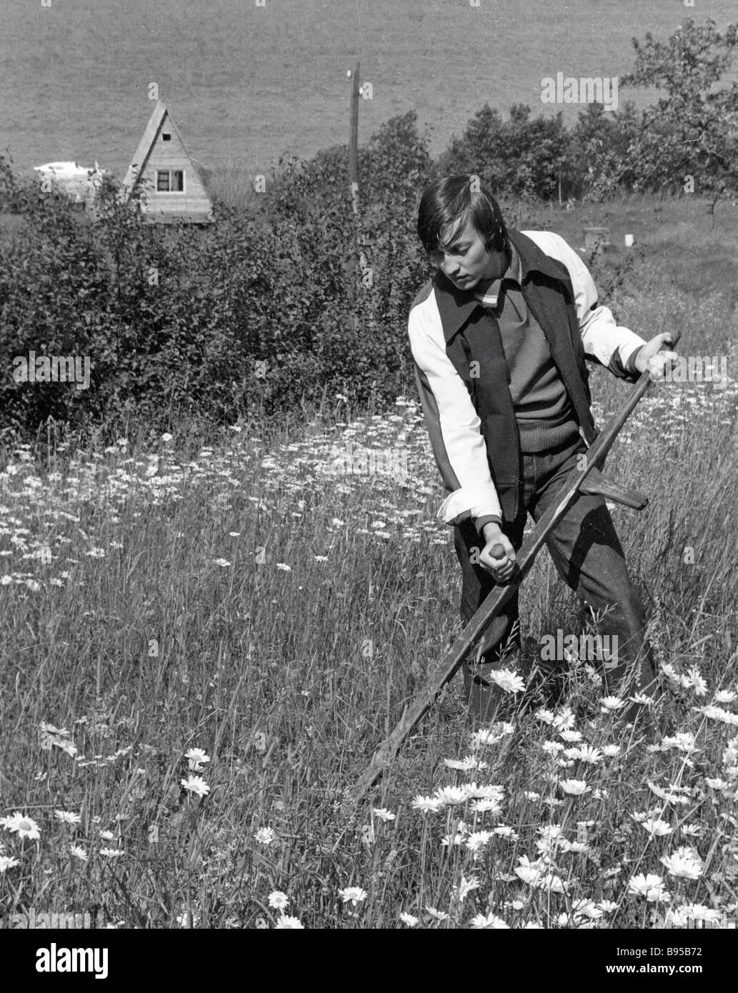 World chess champion Anatoly Karpov on the haymaking Stock Photo - Alamy
