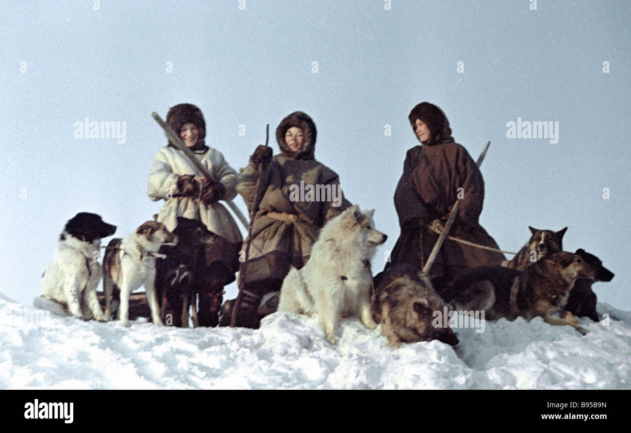 Saami boys with dog teams Stock Photo - Alamy