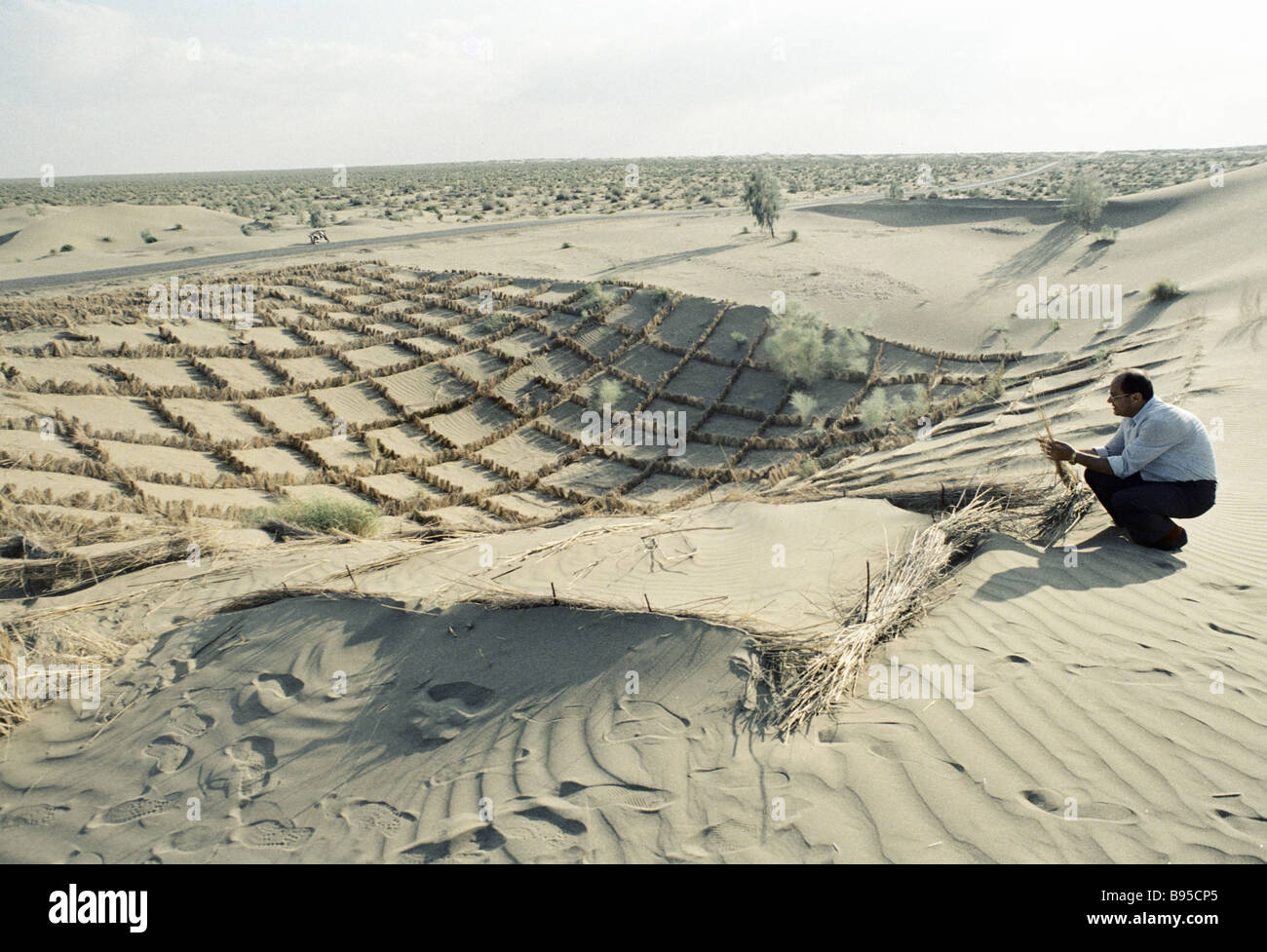 Land reclamation specialist doing sand fixing work in the Karakum ...