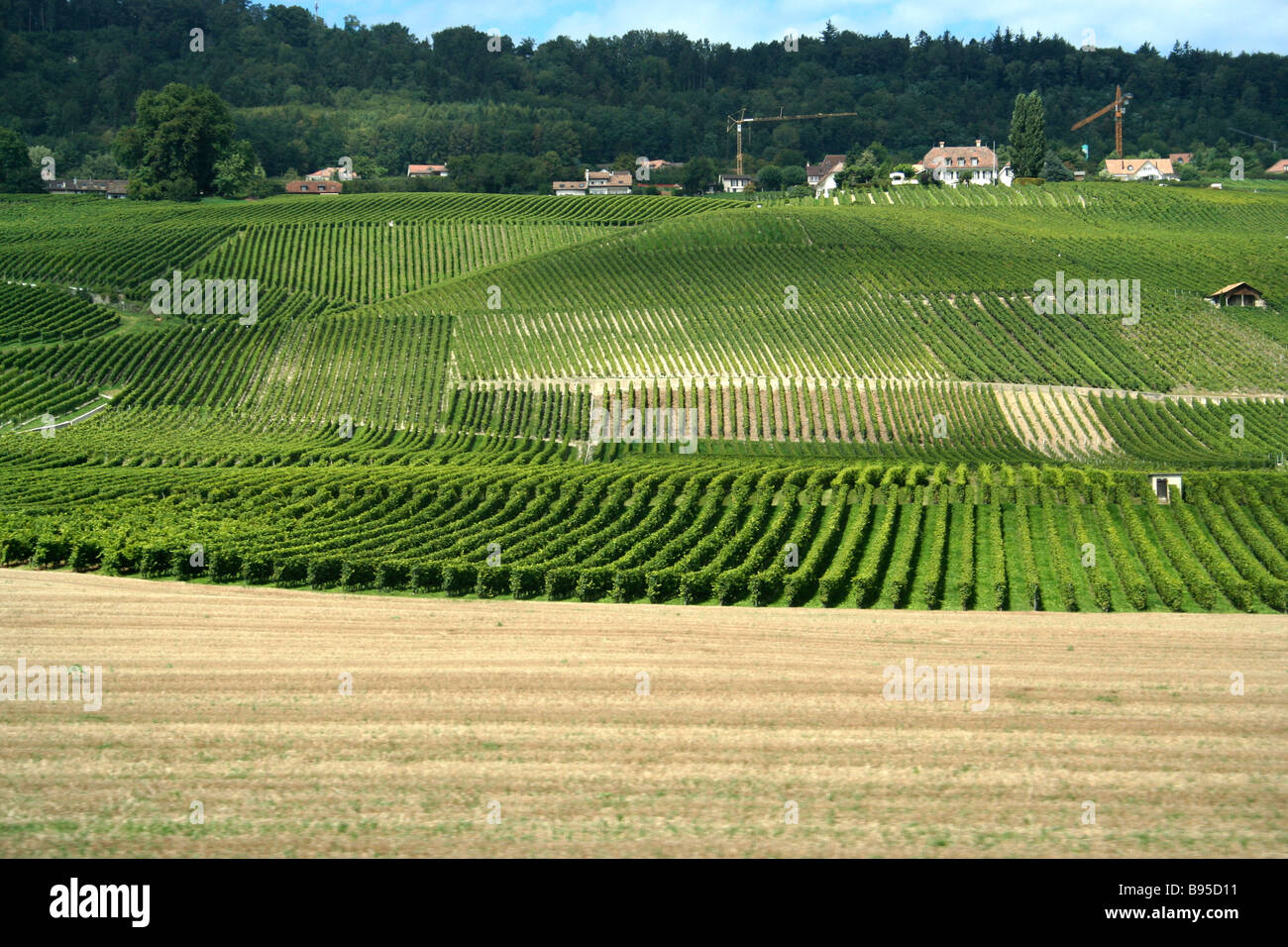 Beautiful country landscape view Great nature scene Stock Photo - Alamy