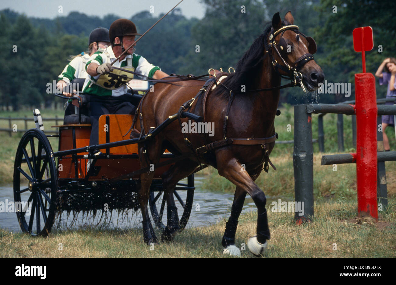 Horse driving england hi-res stock photography and images - Alamy
