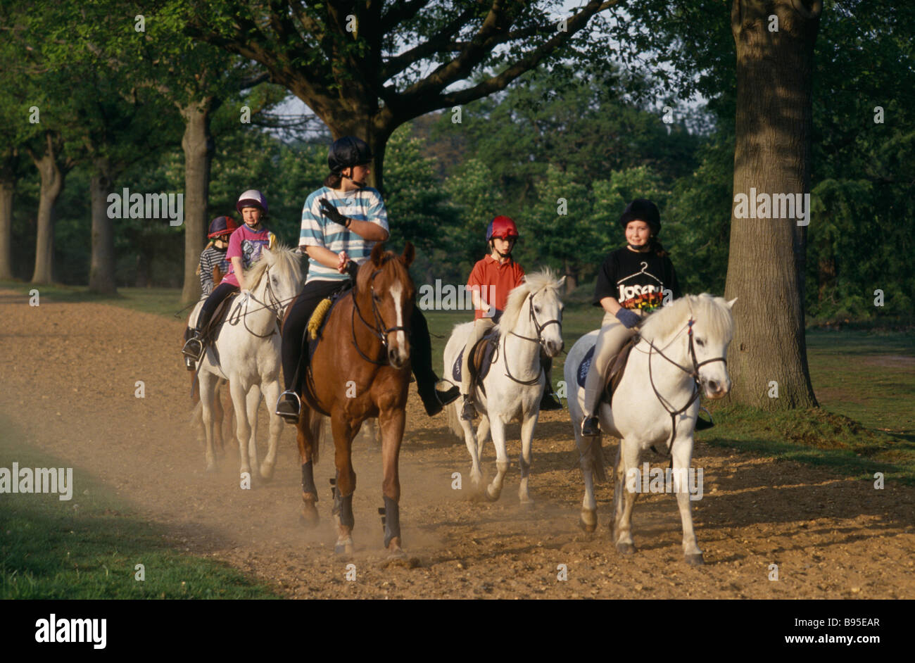SPORT Equestrian Horses Group of horse riders in park with adult on ...