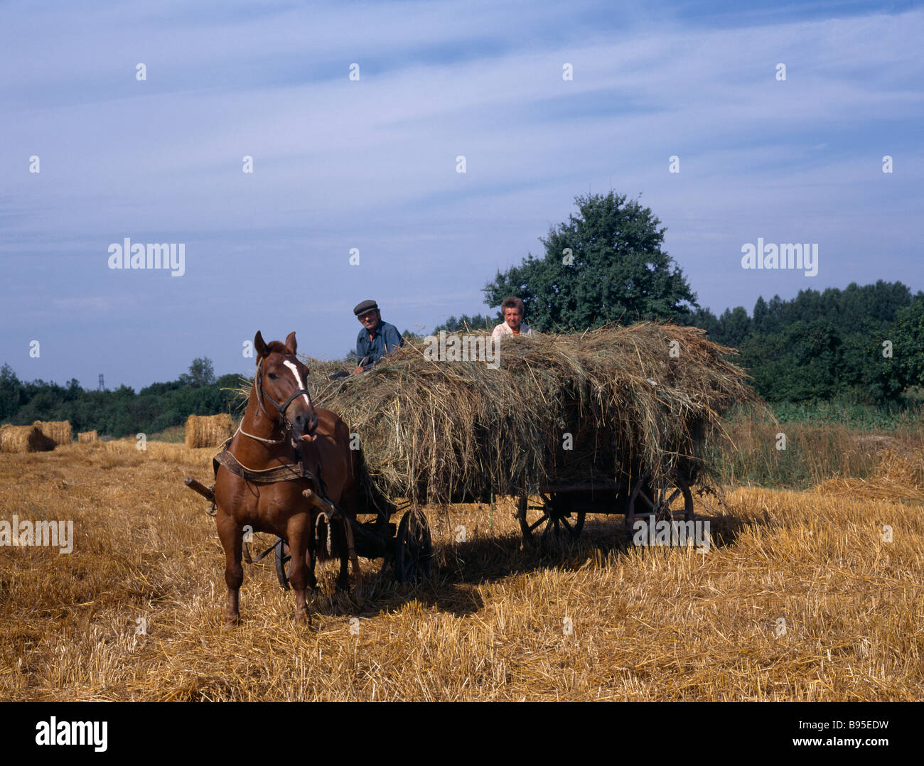 Horse drawn hay cart hi-res stock photography and images - Alamy