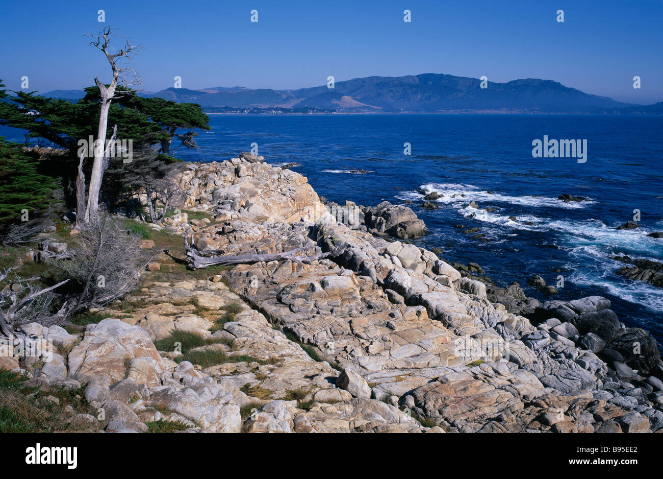 USA California Carmel Big Sur coastline Rocky coast with cypress trees ...