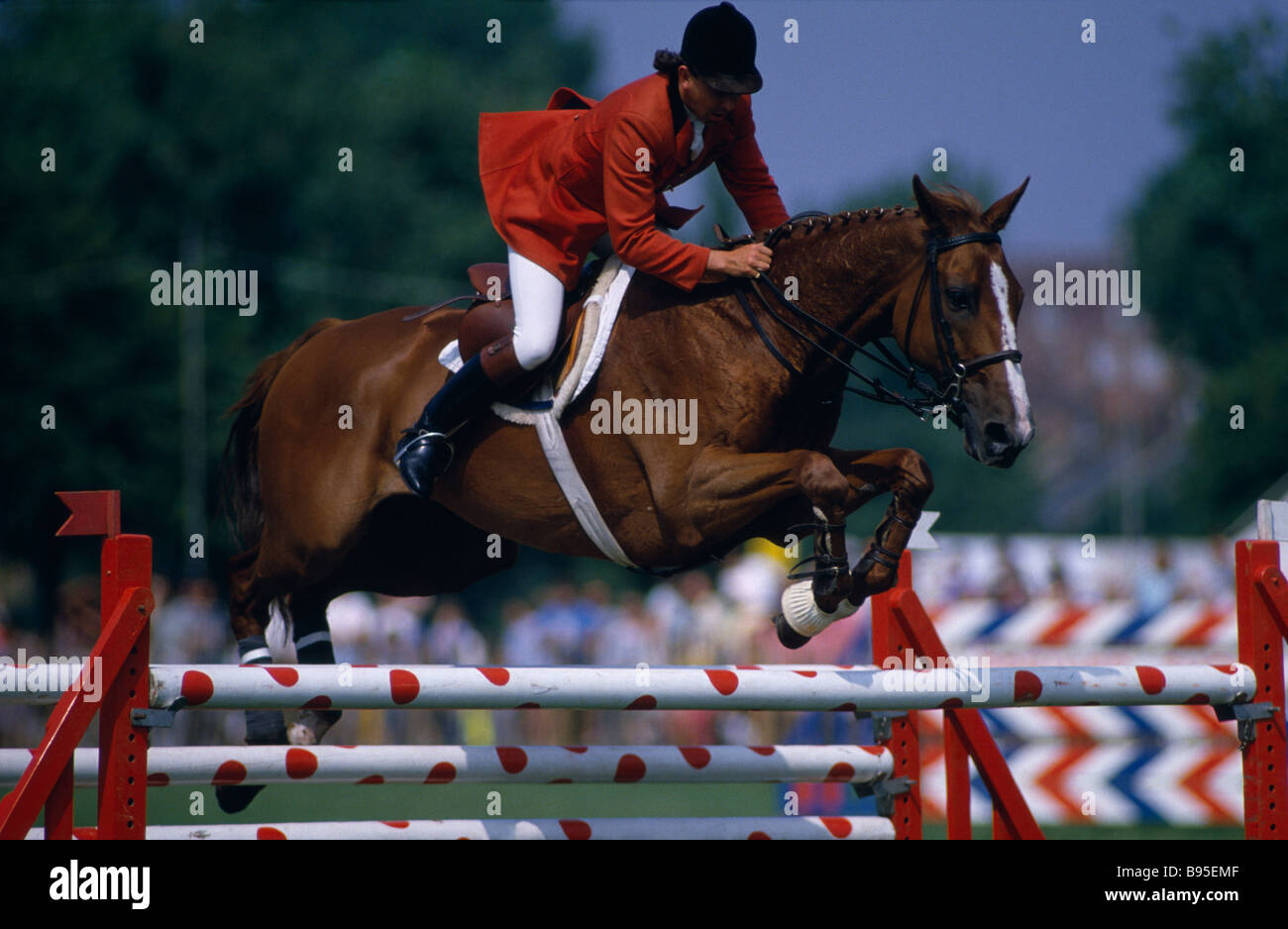 Male show jumper hi-res stock photography and images - Alamy