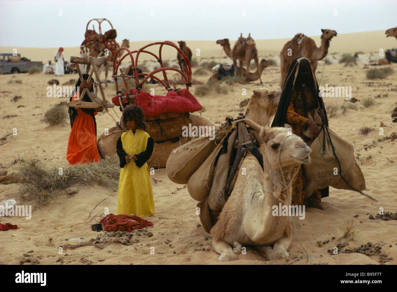 😊 The bedouin people. Arabian Desert. 2019-02-16