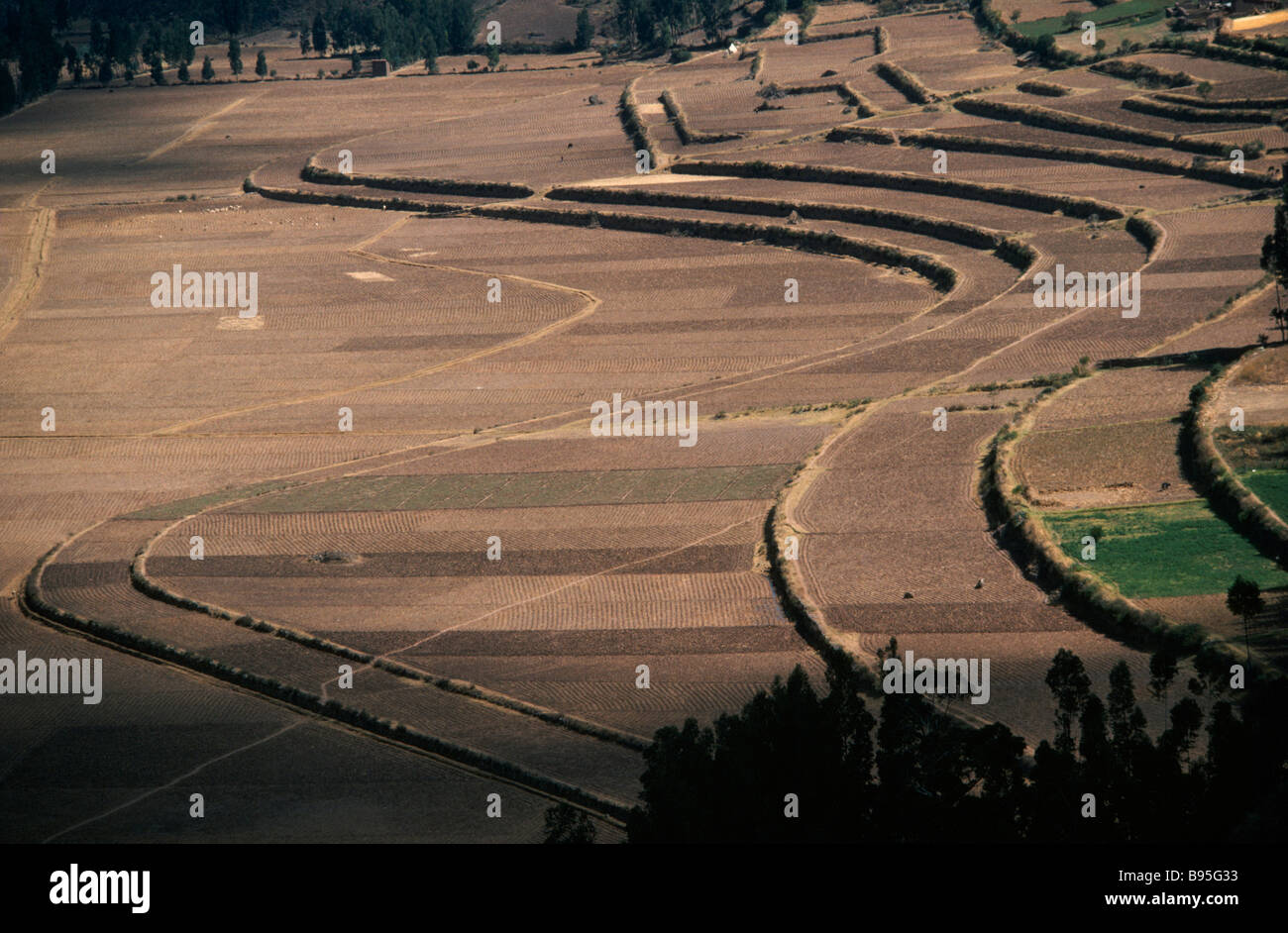 PERU Cusco Agriculture Stock Photo - Alamy