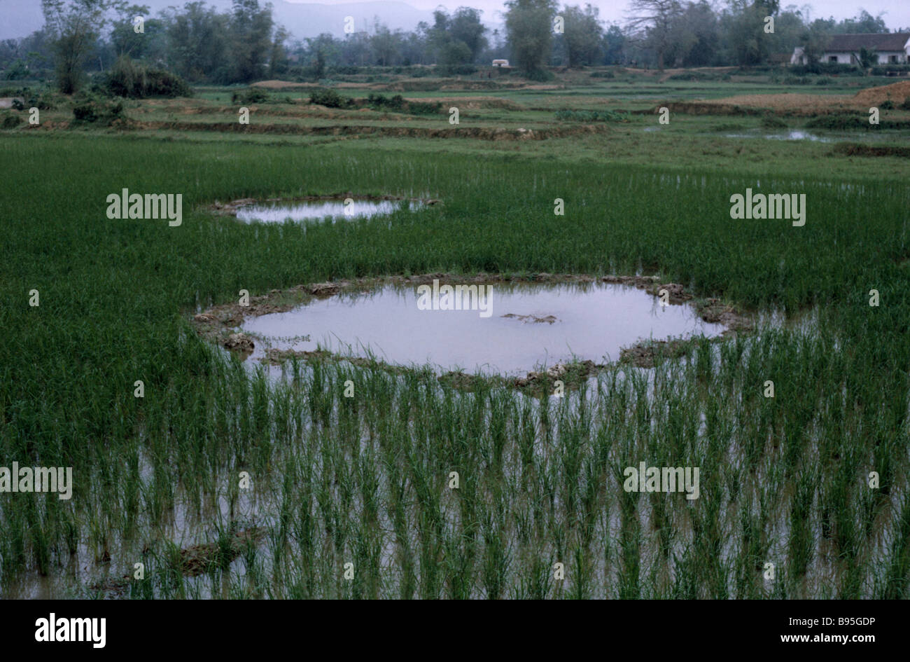 VIETNAM War North Paddy fields with bomb craters from US bombing raids ...