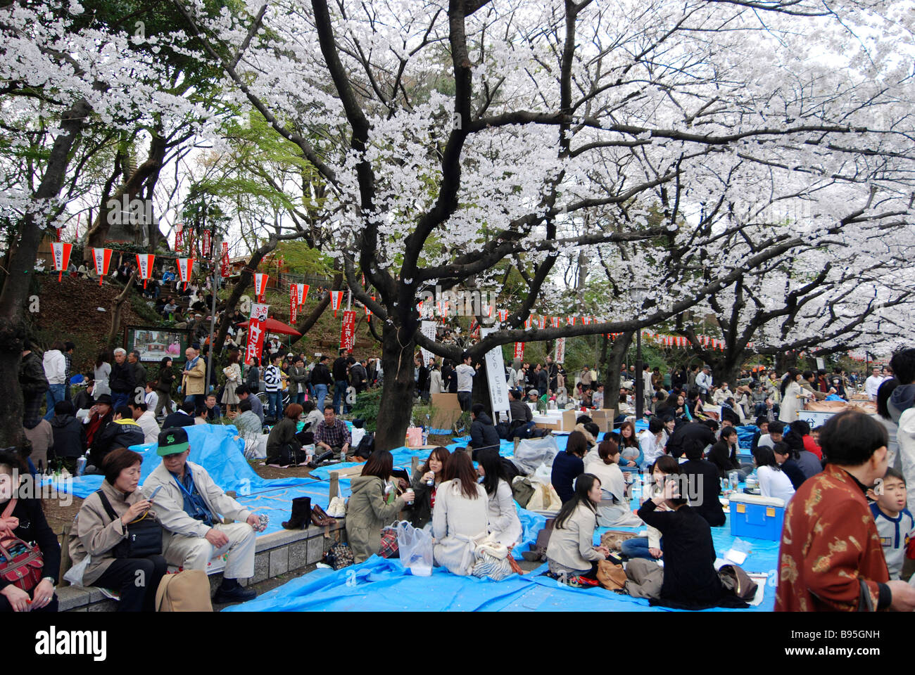 Flower viewing parties hi-res stock photography and images - Alamy