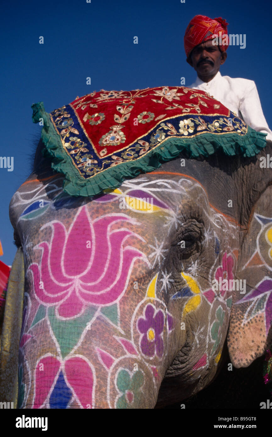 INDIA Rajasthan Jaipur Mahout man on his decorated elephant at the ...