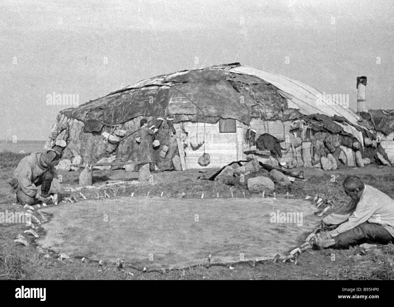 Chukotka residents completing the assemblage of yaranga a skin covered ...
