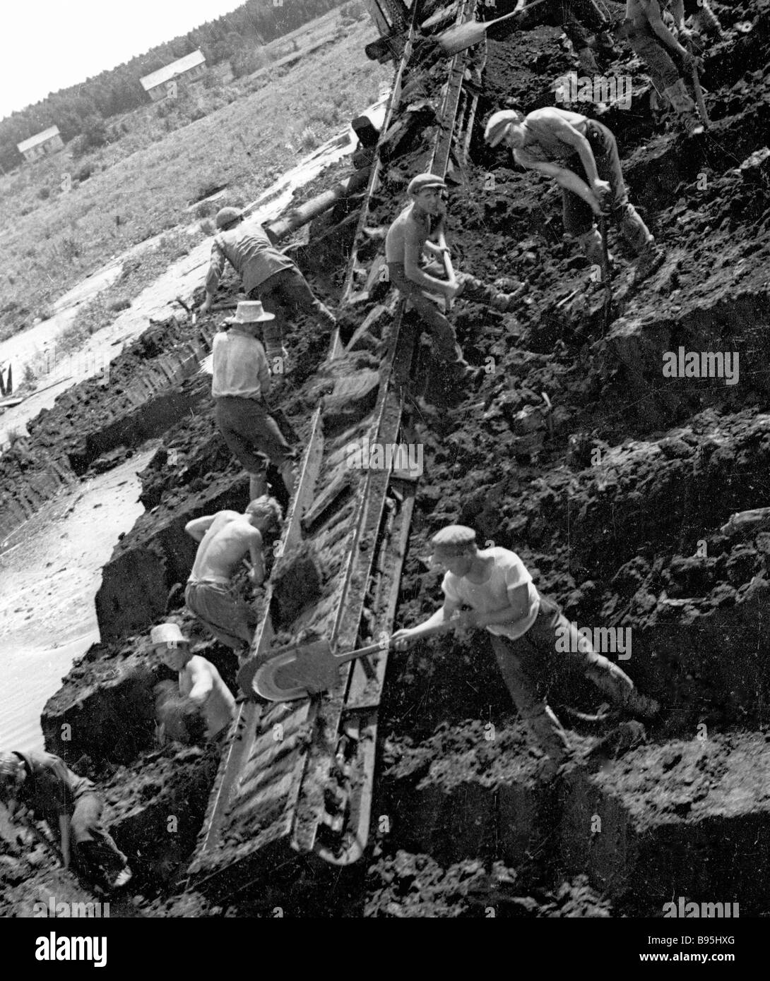 Workers load peat on conveyor Stock Photo - Alamy