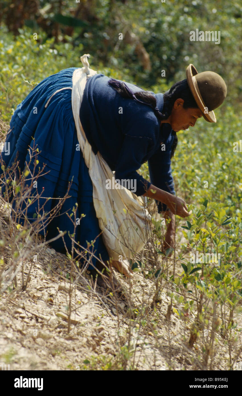 Chapare bolivia hi-res stock photography and images - Alamy