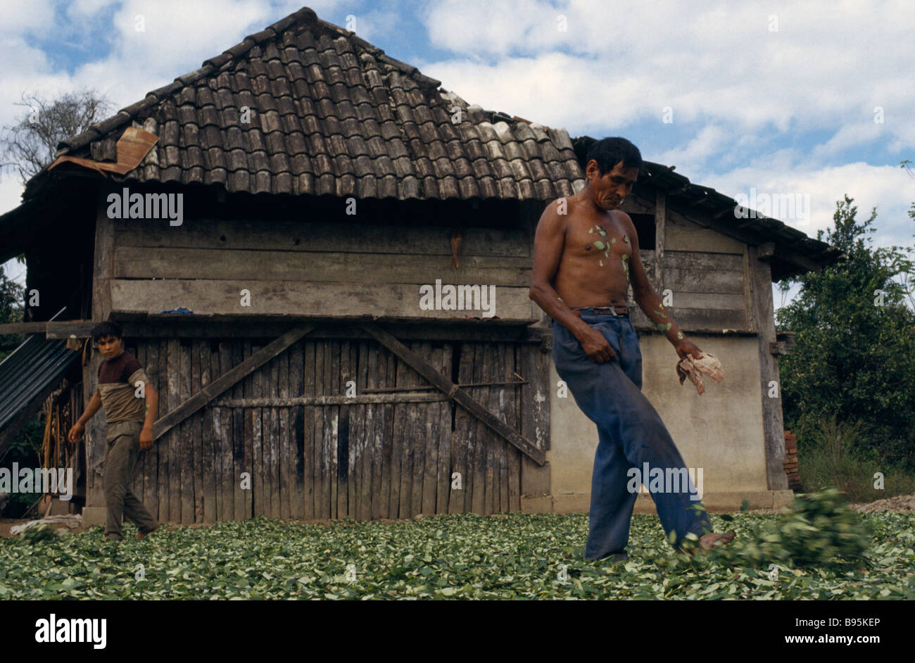 Chapare bolivia hi-res stock photography and images - Alamy