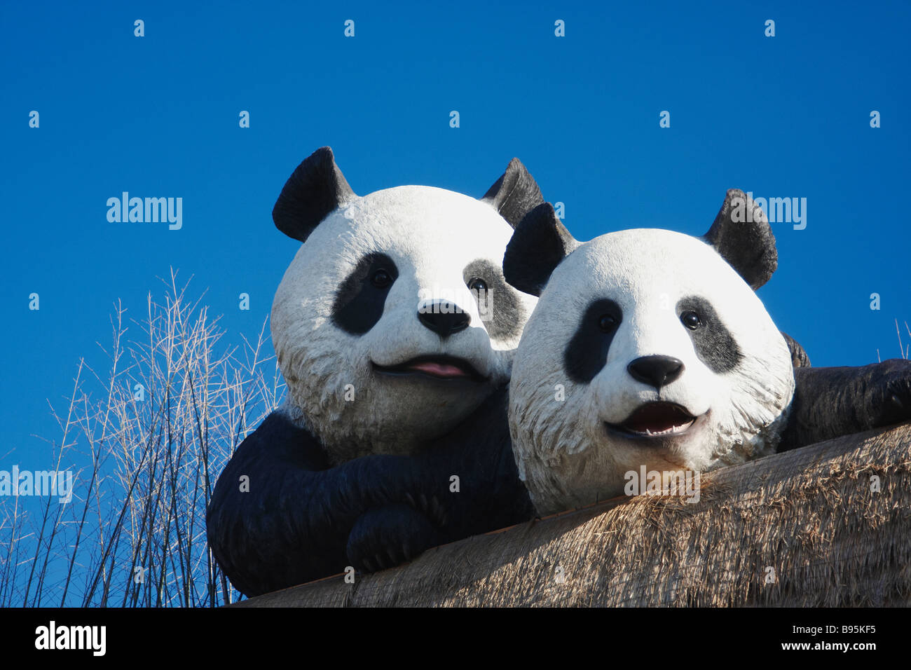 Panda Enclosure, Ocean Park, Hong Kong Island Stock Photo - Alamy