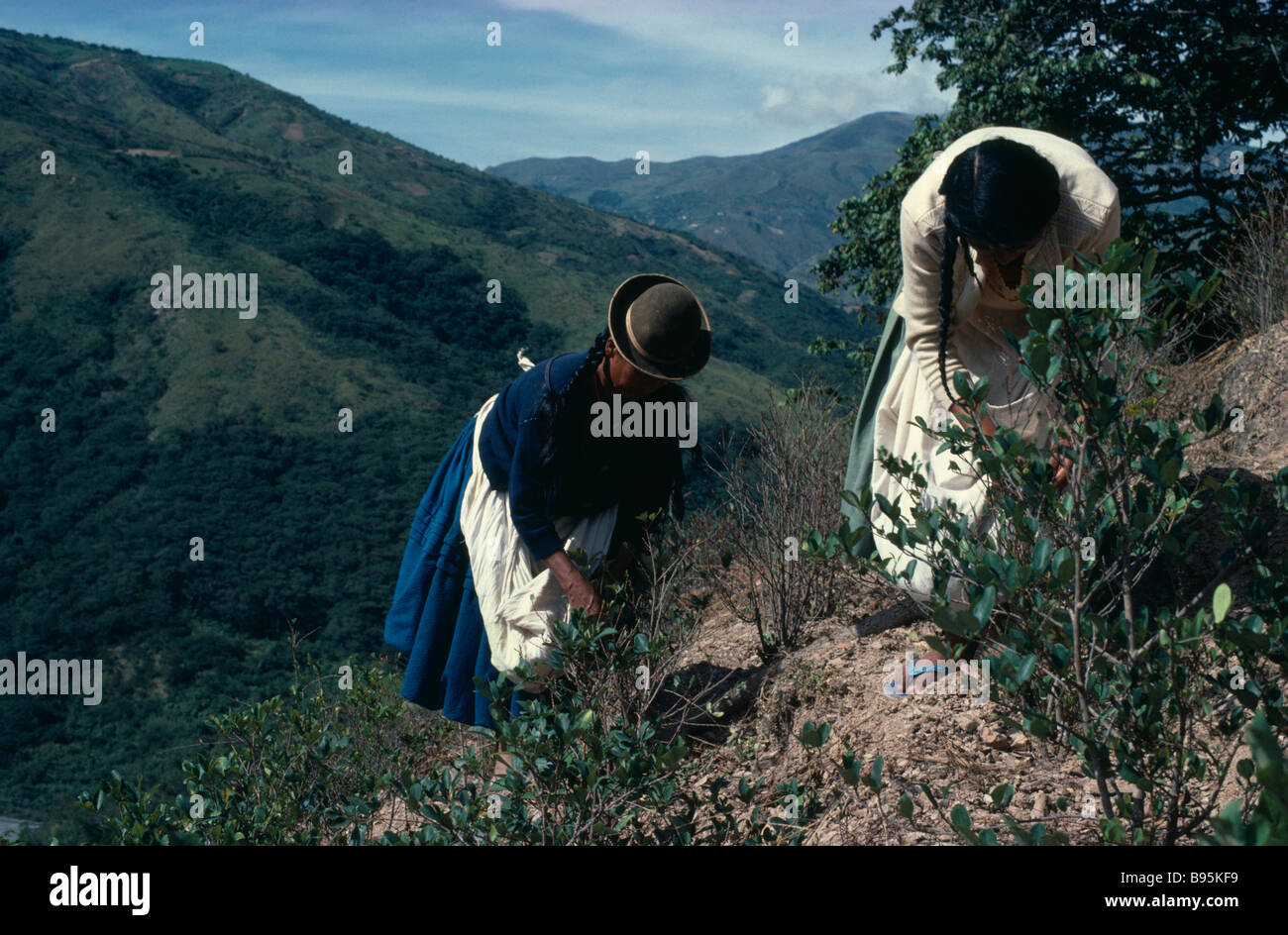 Chapare bolivia hi-res stock photography and images - Alamy