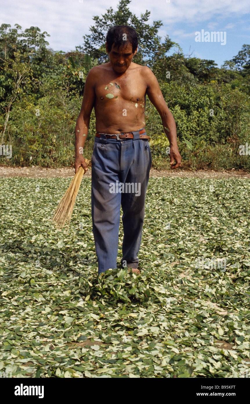 Chapare bolivia hi-res stock photography and images - Alamy