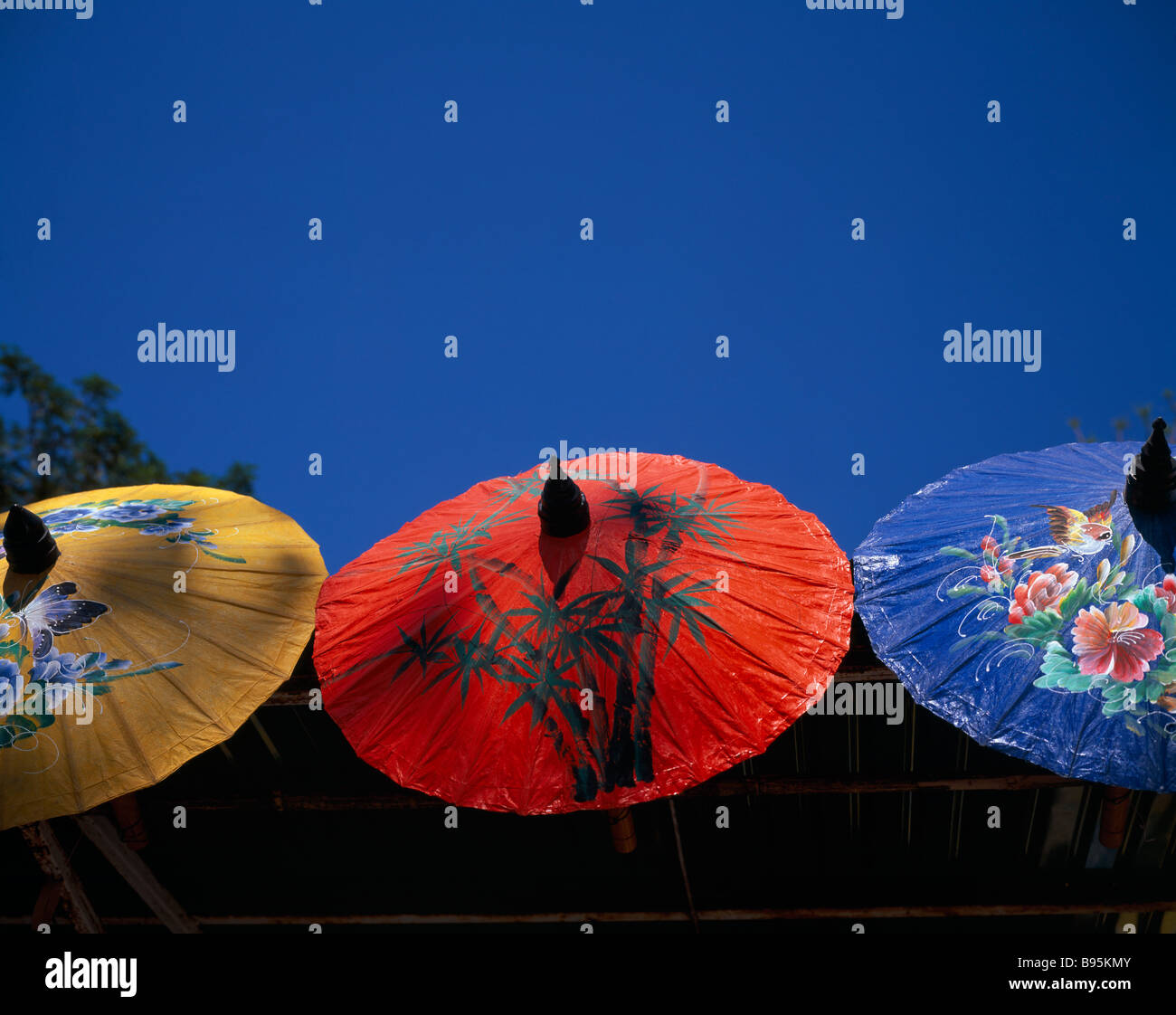 Red bor hi-res stock photography and images - Alamy