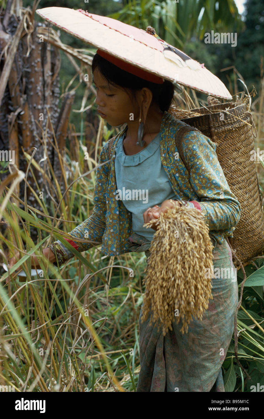 MALAYSIA Southeast Asia Borneo Sarawak Young Kayan woman with elongated ...