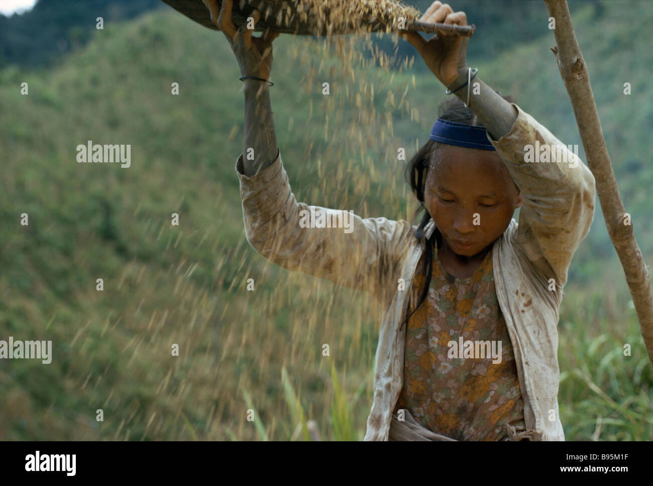 MALAYSIA Southeast Asia Borneo Sarawak Kayan Tribe girl winnowing rice ...