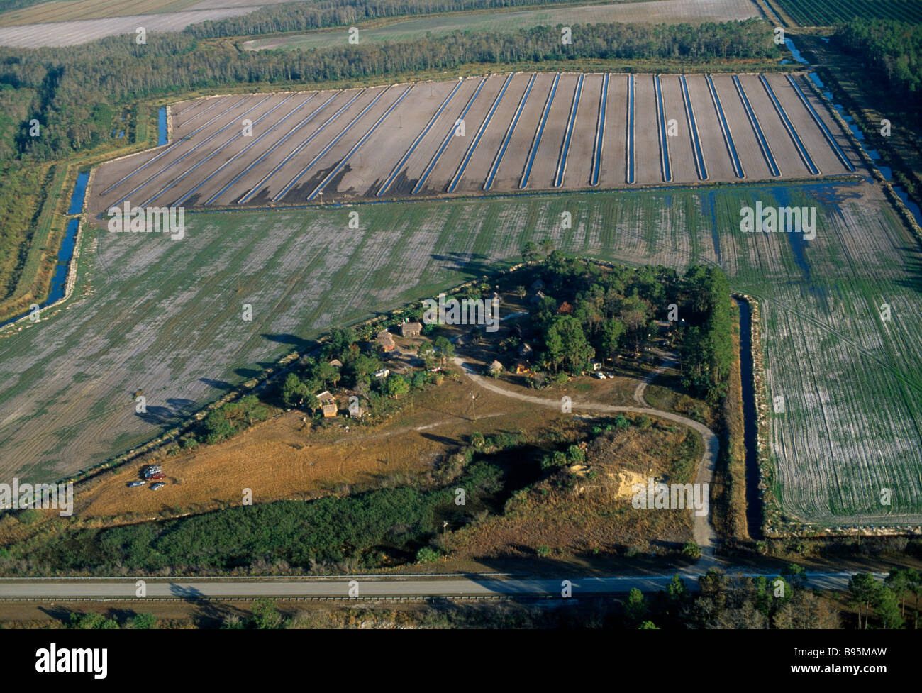 Agriculture farming everglades hi-res stock photography and images - Alamy