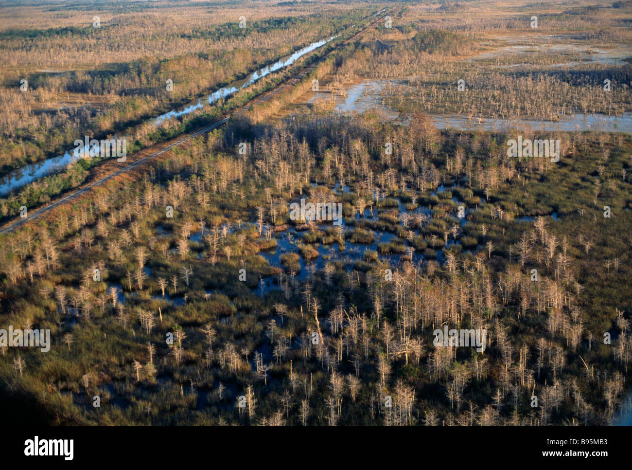 Agriculture farming everglades hi-res stock photography and images - Alamy