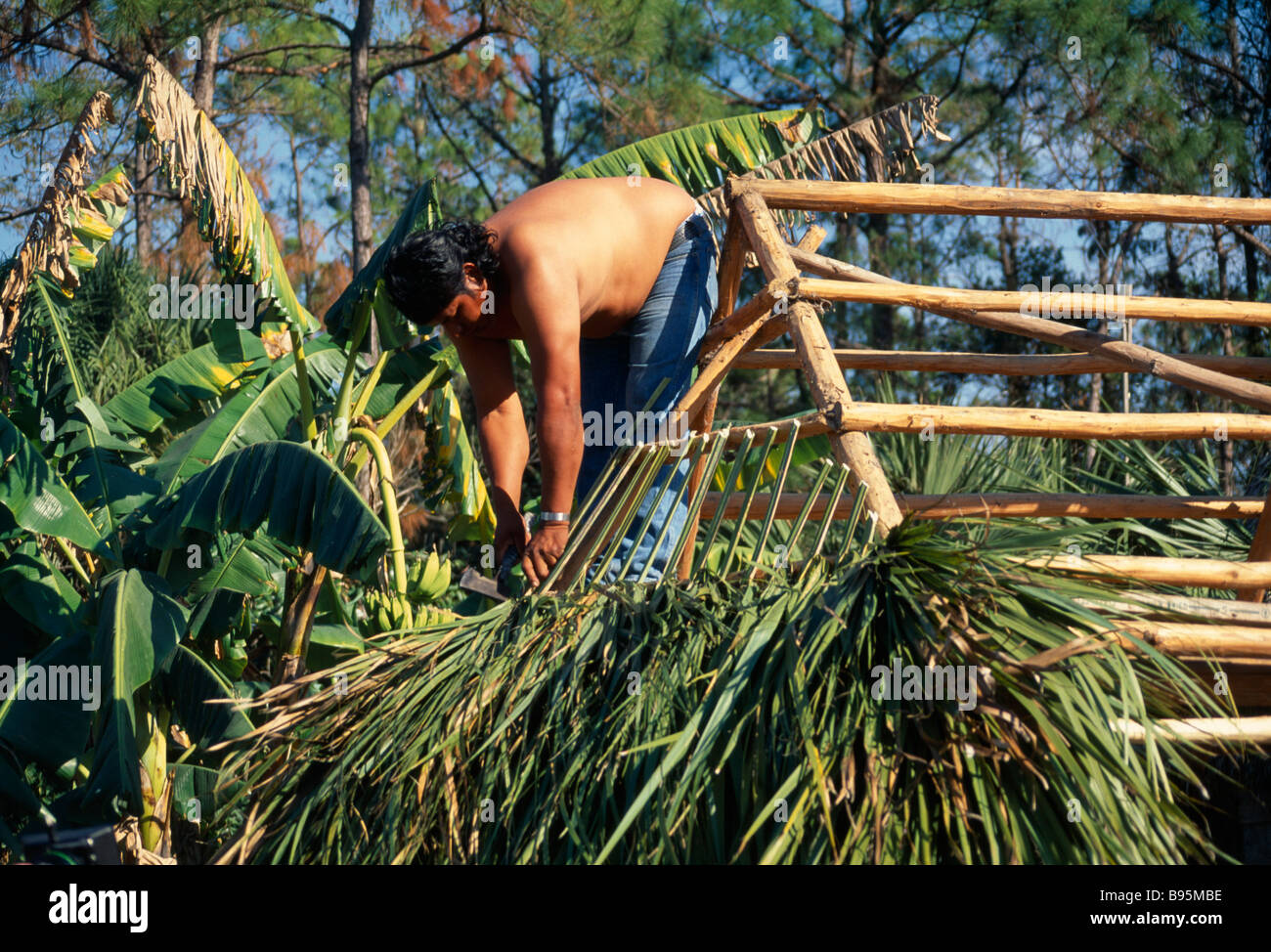 Chickee hut hi-res stock photography and images - Alamy