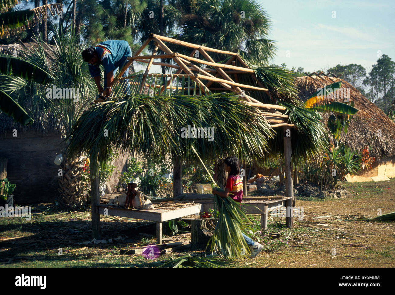 USA Florida Everglades Independent Seminole Native Americans thatching ...