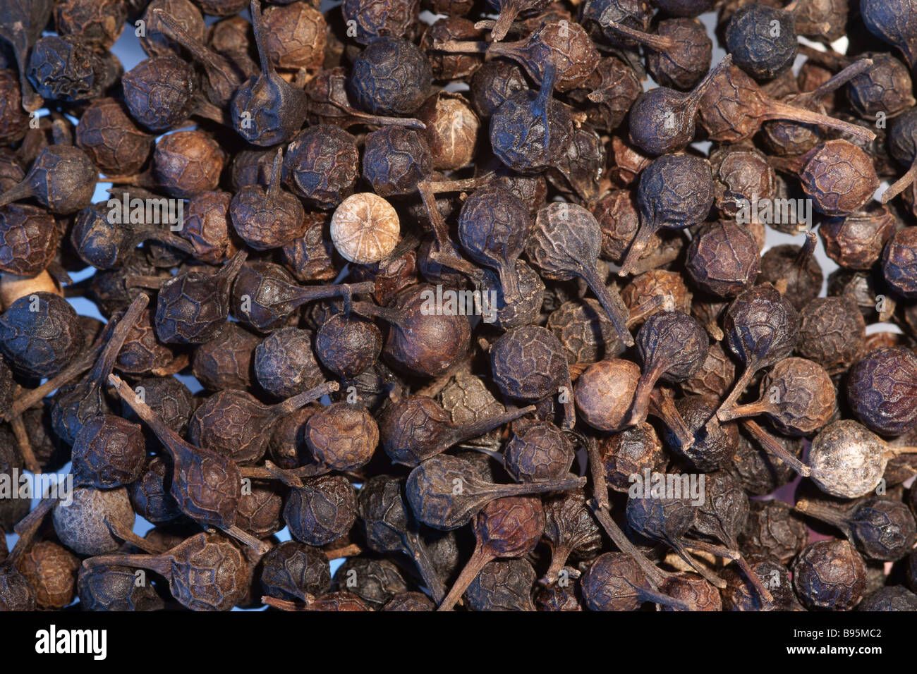 Cubeb High Resolution Stock Photography and Images - Alamy