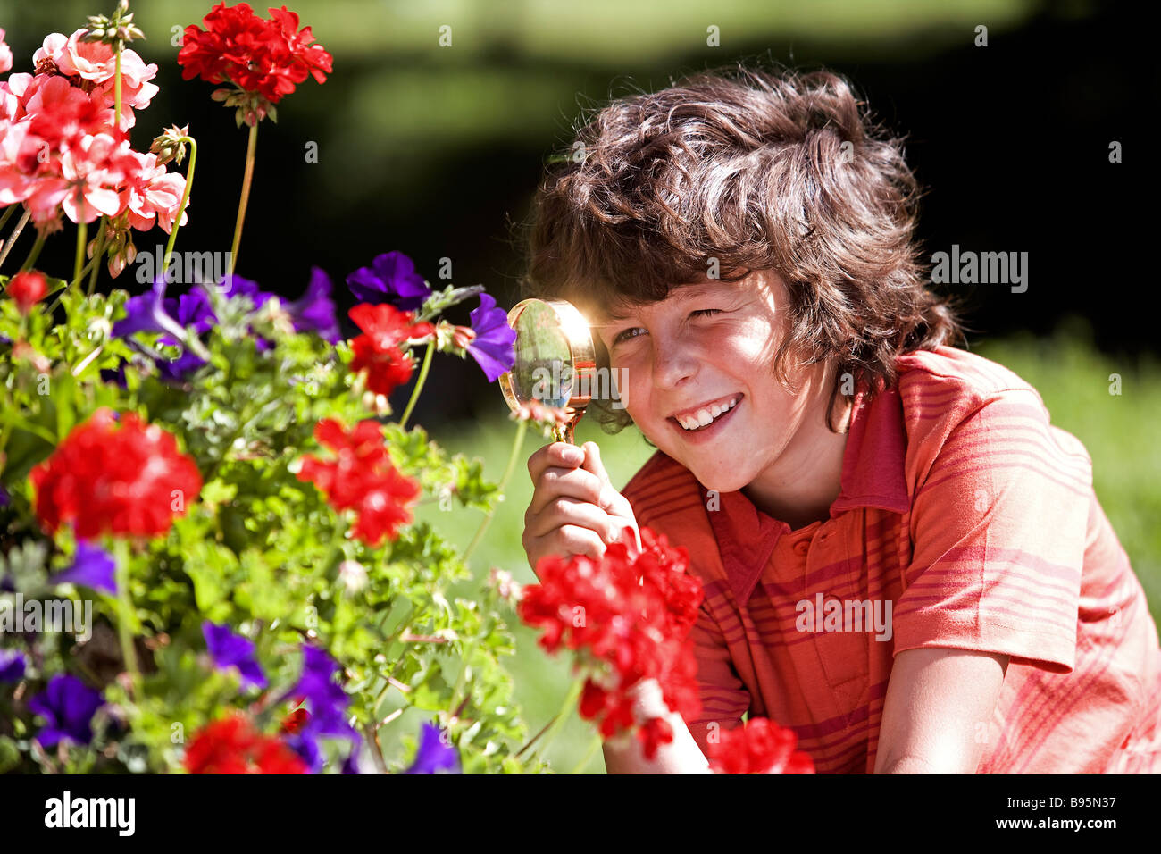 France, Savoie, Saisies, portrait of a little boy observing flowers ...