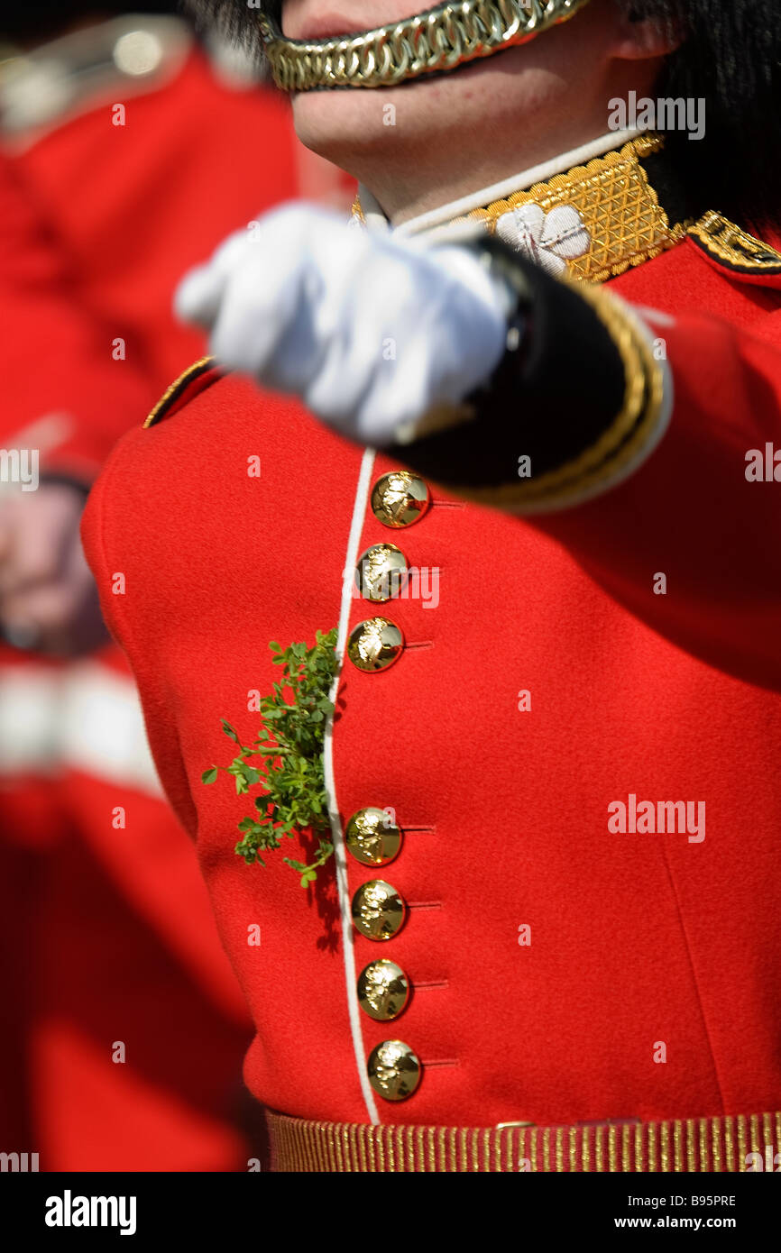 Ceremonial uniform of the irish guards hi-res stock photography and ...