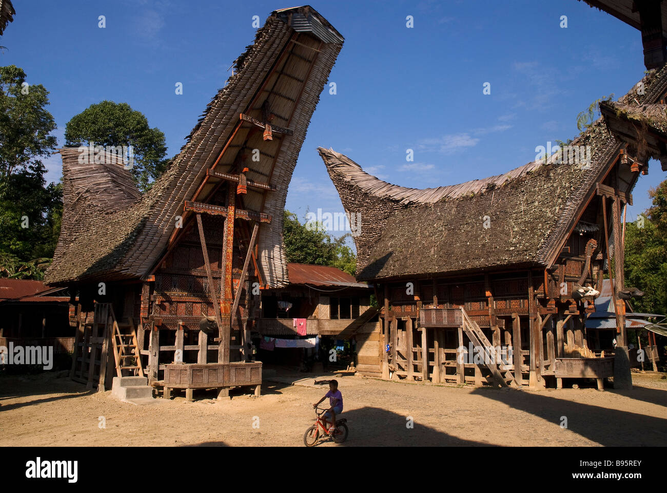 Indonesia, Sulawesi (Celebes), Toraja land, Tana Toraja, traditional ...