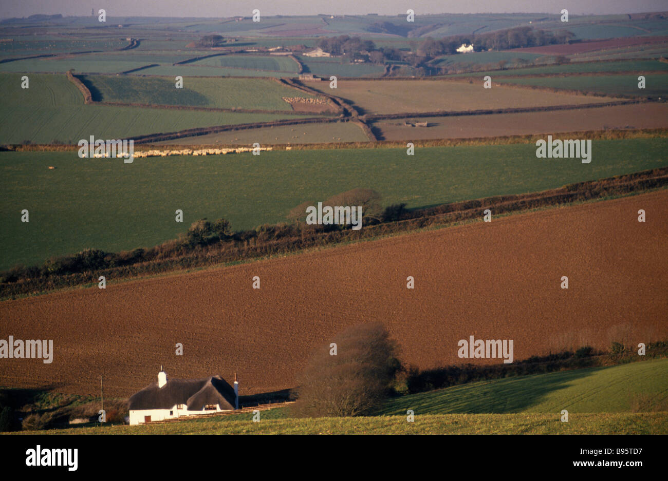 ENGLAND Devon Agriculture Stock Photo - Alamy