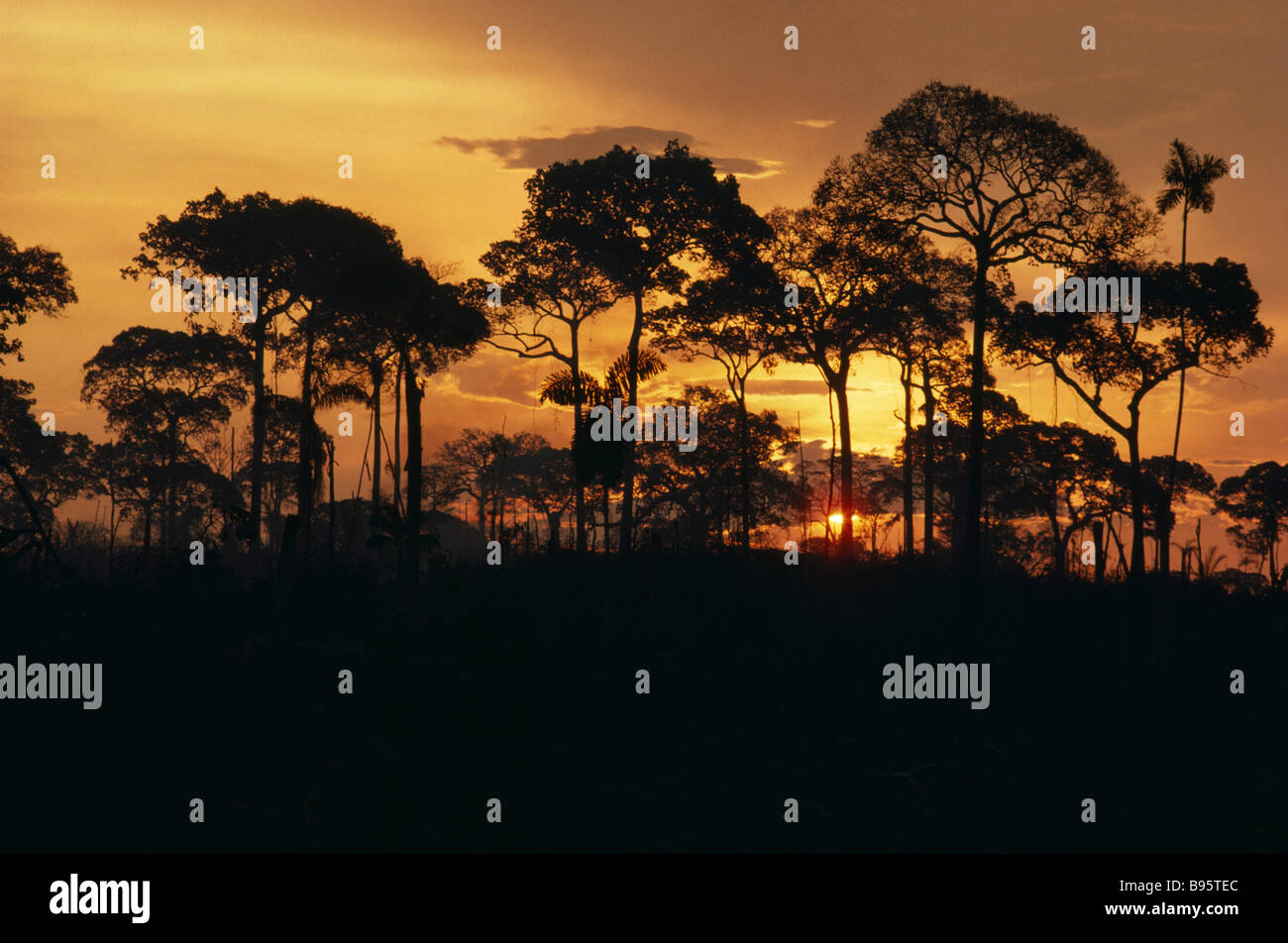 Brasilian sunset hi-res stock photography and images - Alamy