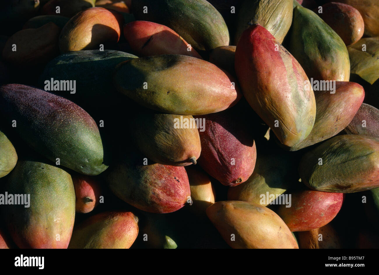 Mangoes mexico hi-res stock photography and images - Alamy