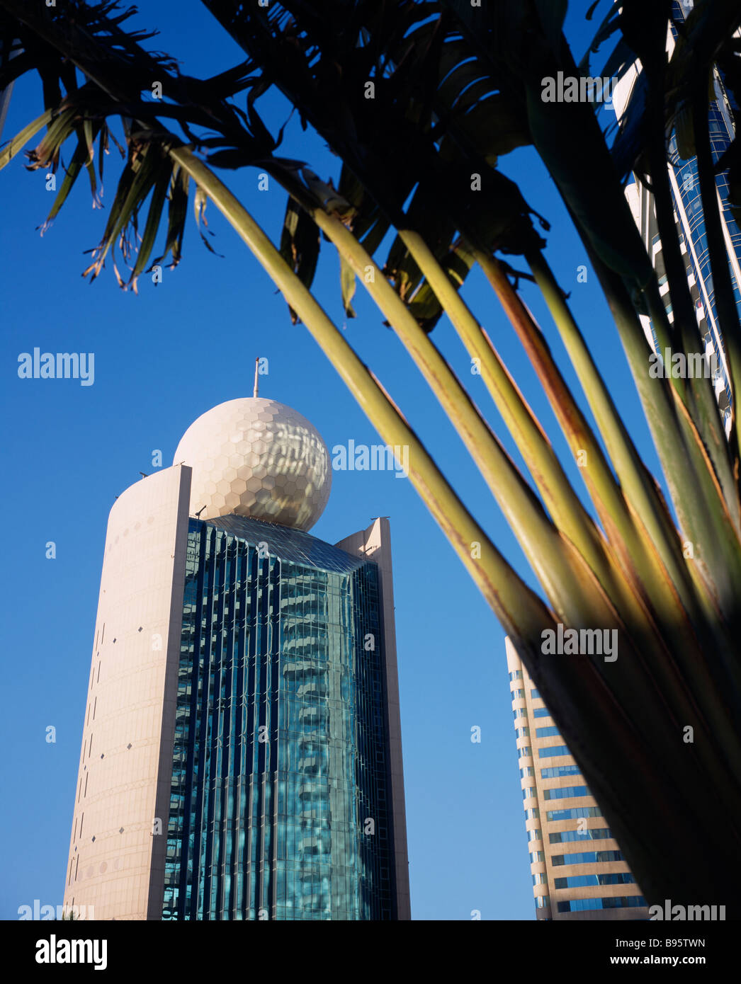 UAE Dubai Deira Etisalat Building on Dubai Creek with traveller s palm ...