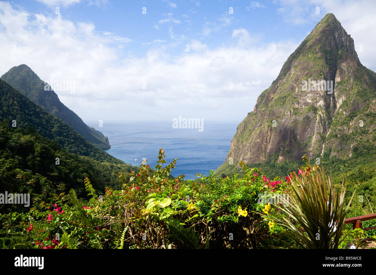 St lucia and piton and flowers hi-res stock photography and images - Alamy