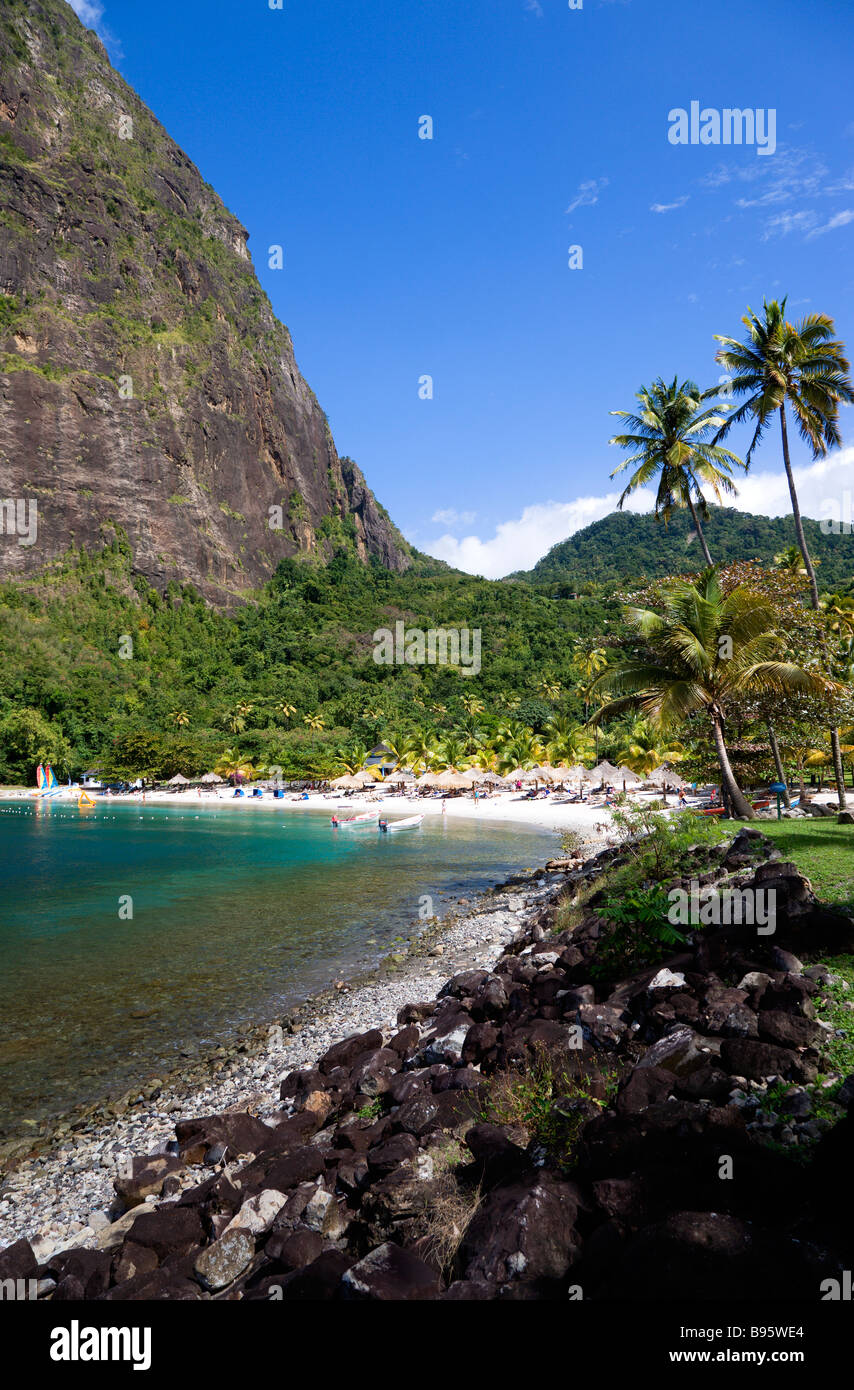 WEST INDIES Caribbean St Lucia Soufriere Val des Pitons Coconut tree ...