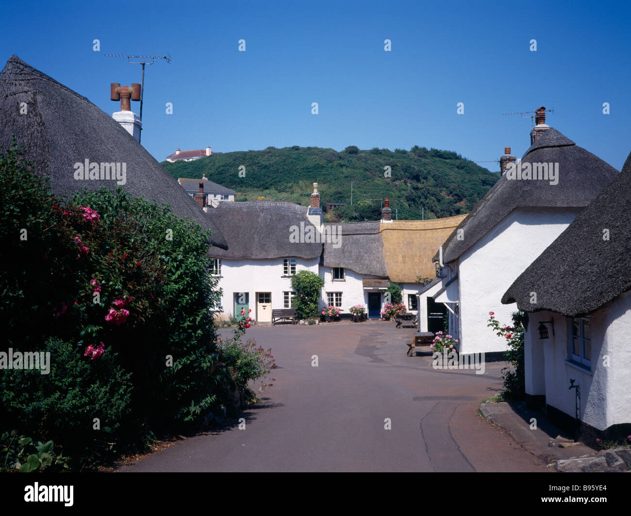 ENGLAND Devon Hope Thatched cottages in village centre Stock Photo - Alamy