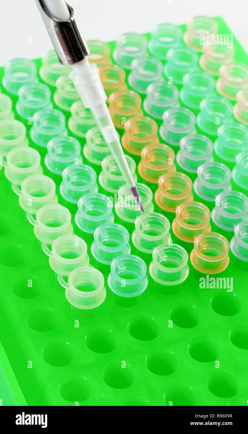 Enzyme Linked Immunosorbent Assay ELISA in a 96 well plate Stock Photo ...