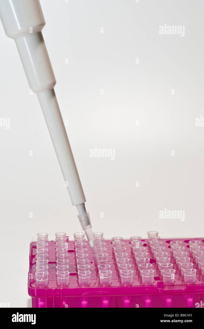 Enzyme Linked Immunosorbent Assay ELISA in a 96 well plate Stock Photo ...